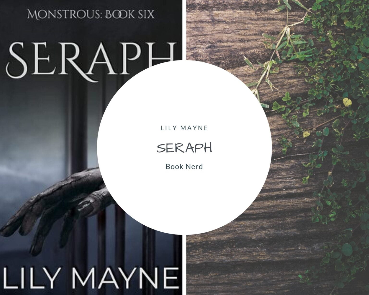 Seraph (Monstrous #6) - Lily Mayne - Résumé & Avis - Book Nerd