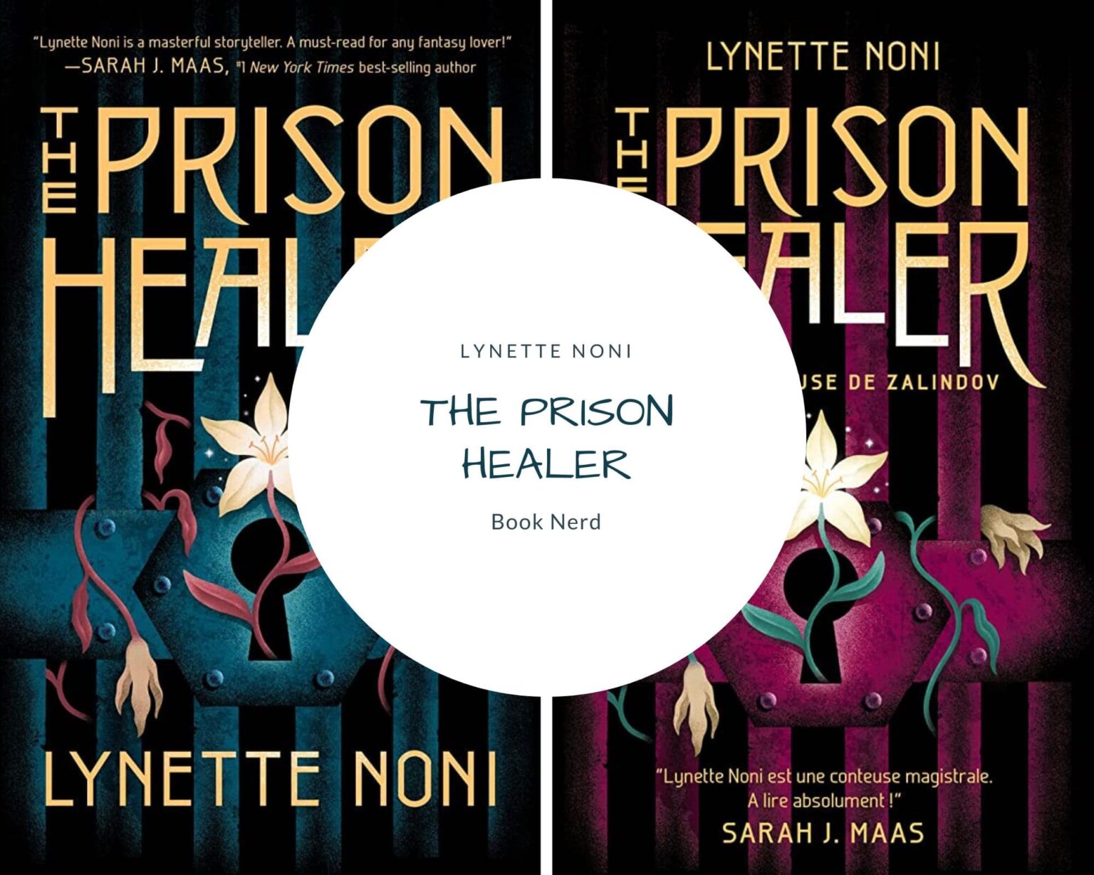 The Prison Healer : critiques de romans The Prison Healer - - Book Nerd