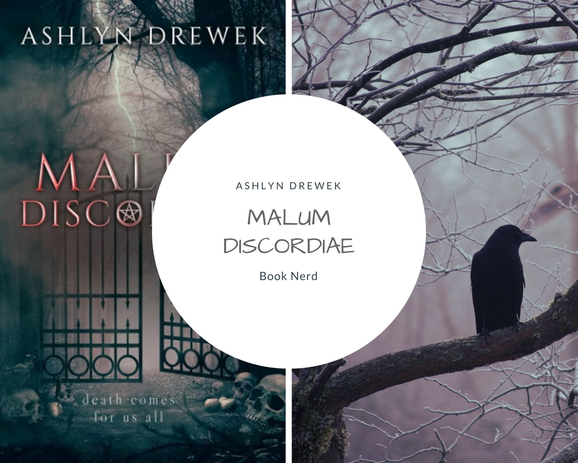Malum Discordiae (Tennebrose #1) - Résumé & Avis - Book Nerd