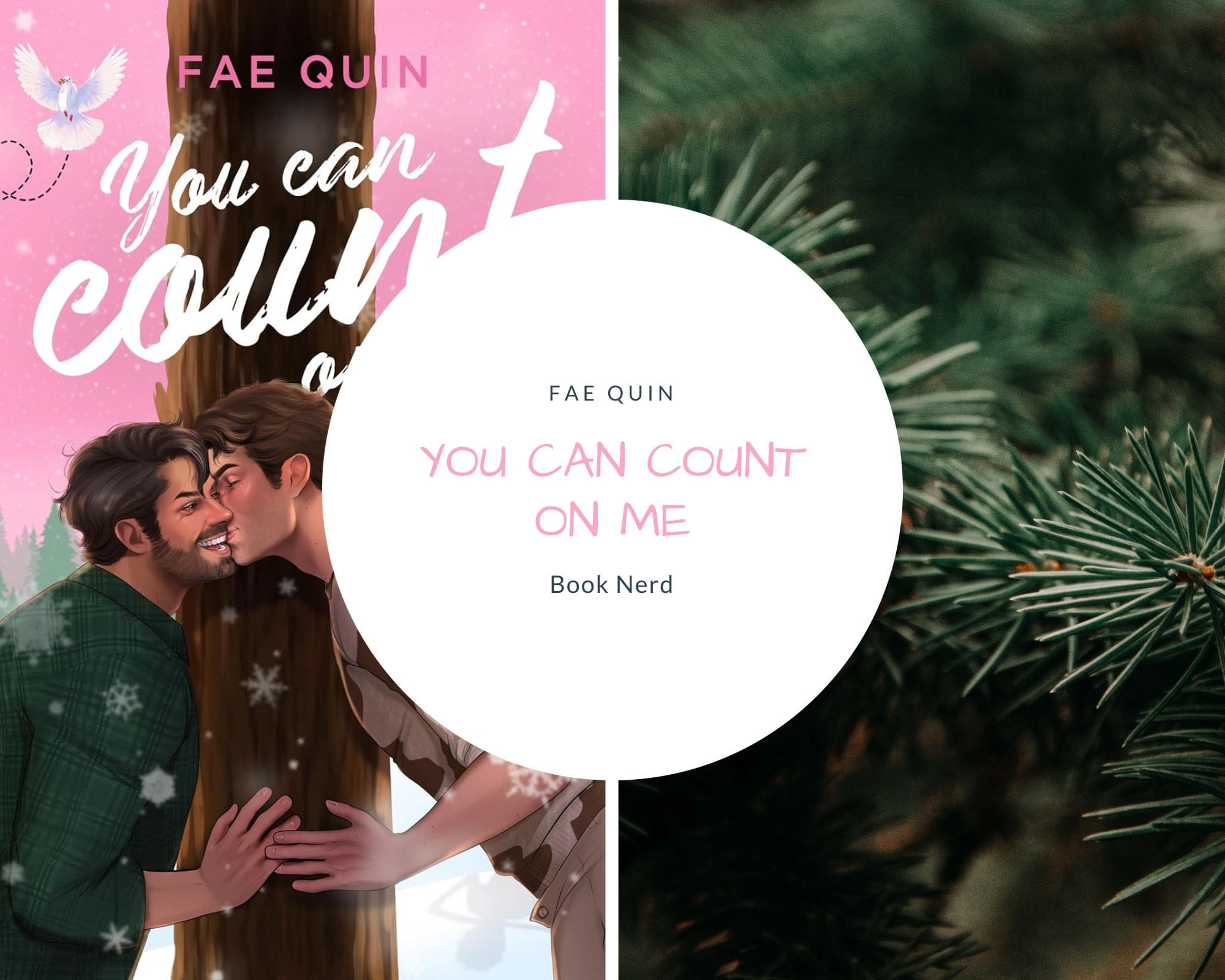 You Can Count On Me (Christmas Daddies #2) - Fae Quin - Book Nerd