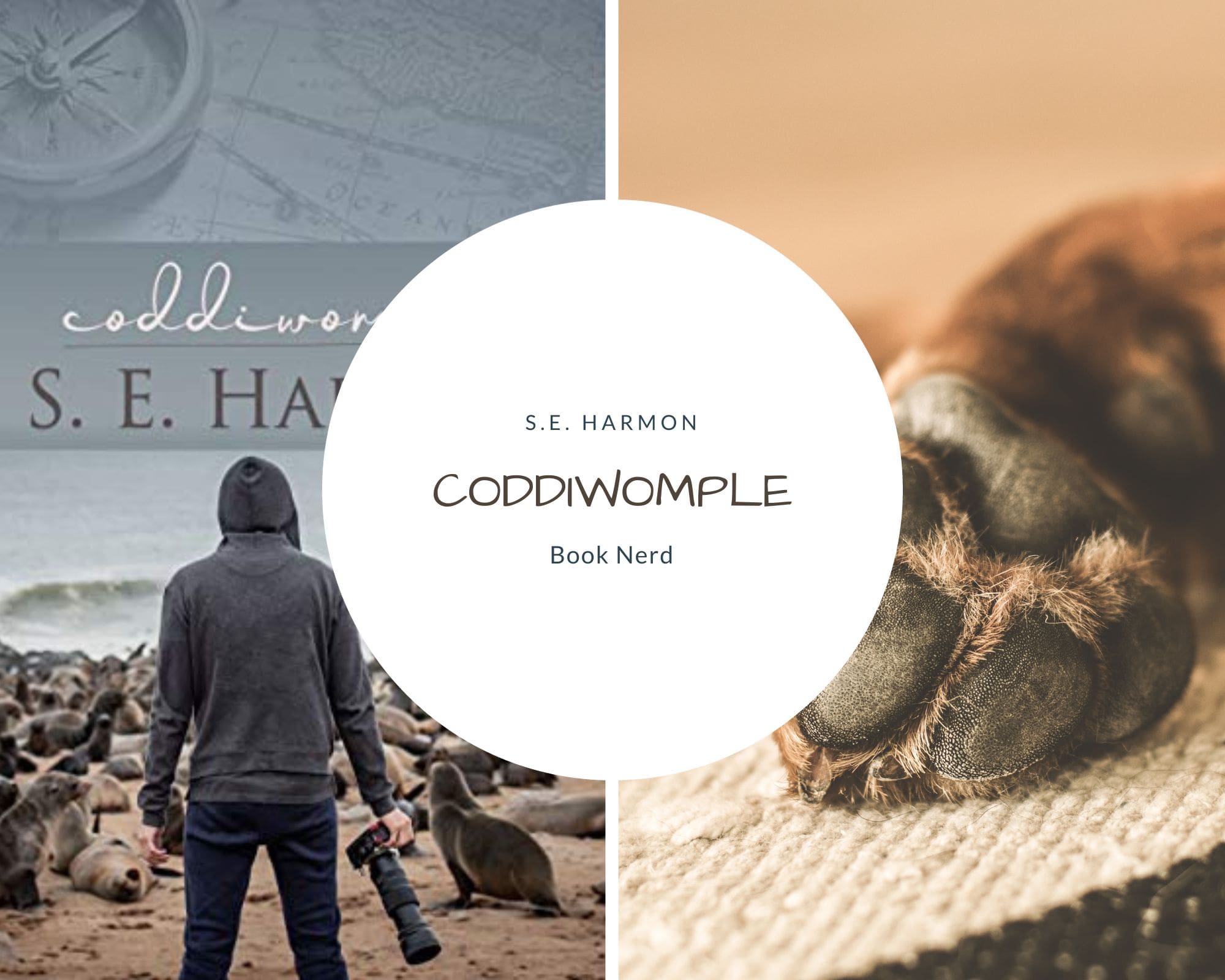 Coddiwomple - S.E. Harmon - Résumé & Avis - Book Nerd