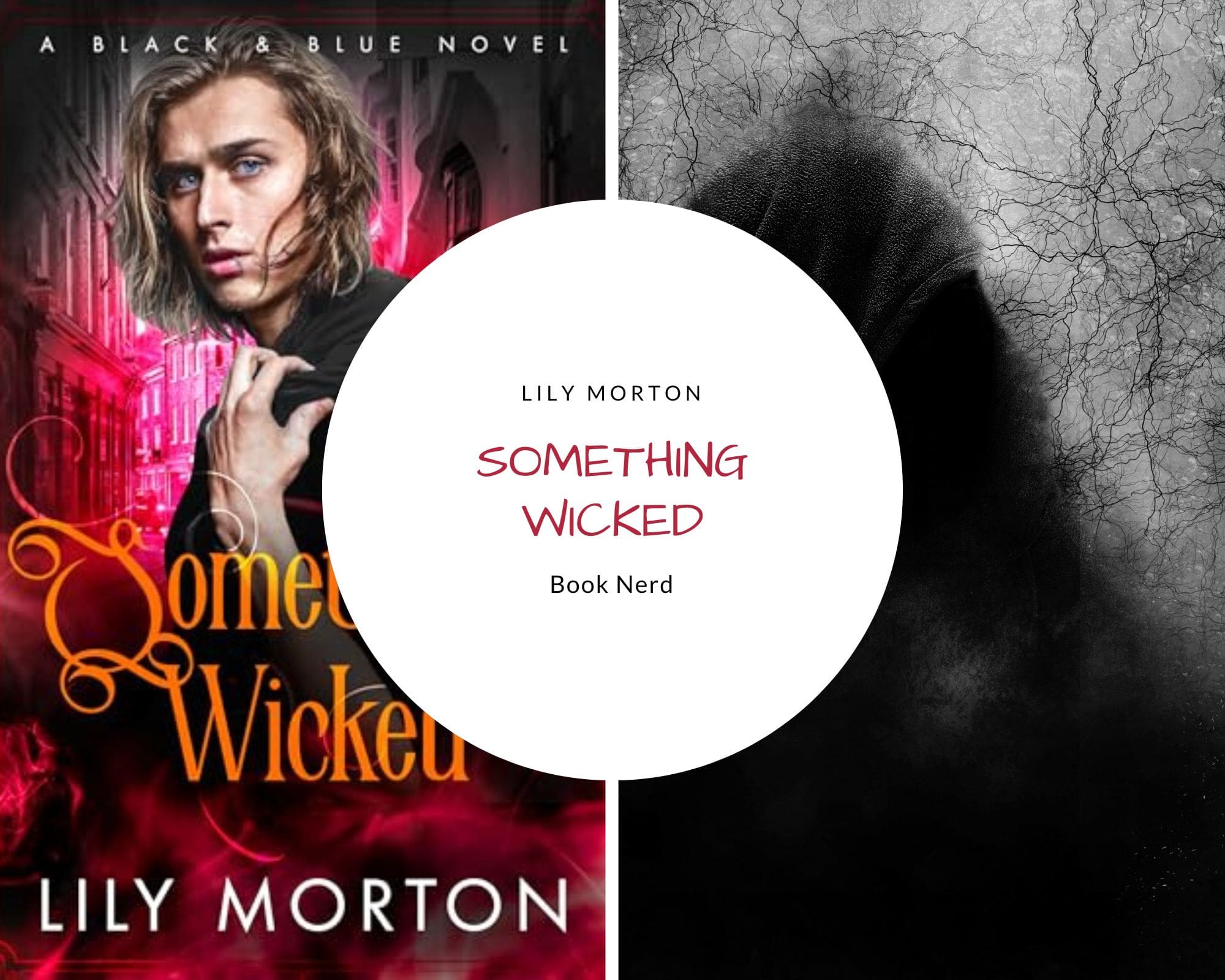 Something Wicked (Black and Blue #3) - Résumé & Avis - Book Nerd