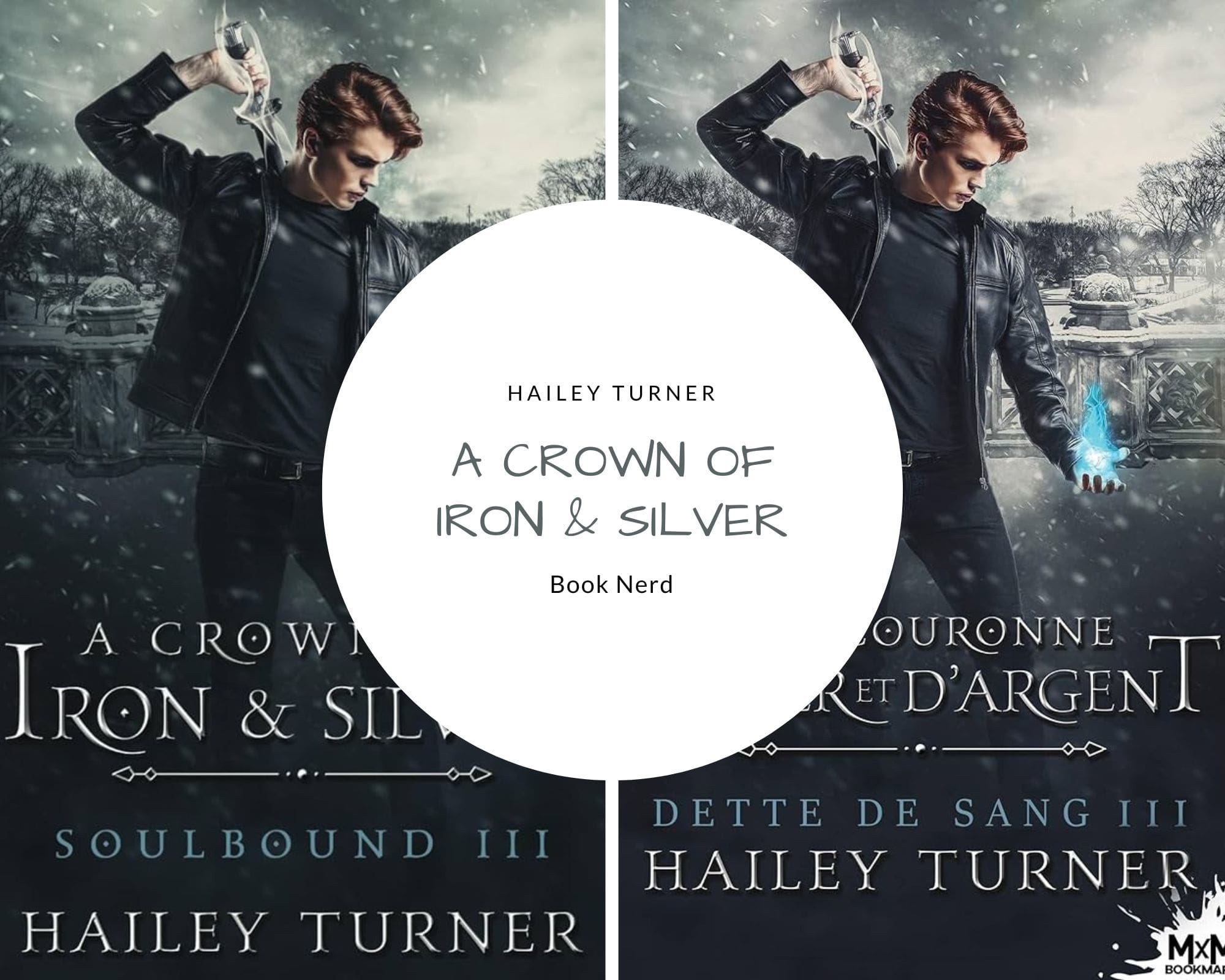 A Crown of Iron & Silver (Soulbound #3) - Hailey Turner - Résumé & Avis ...