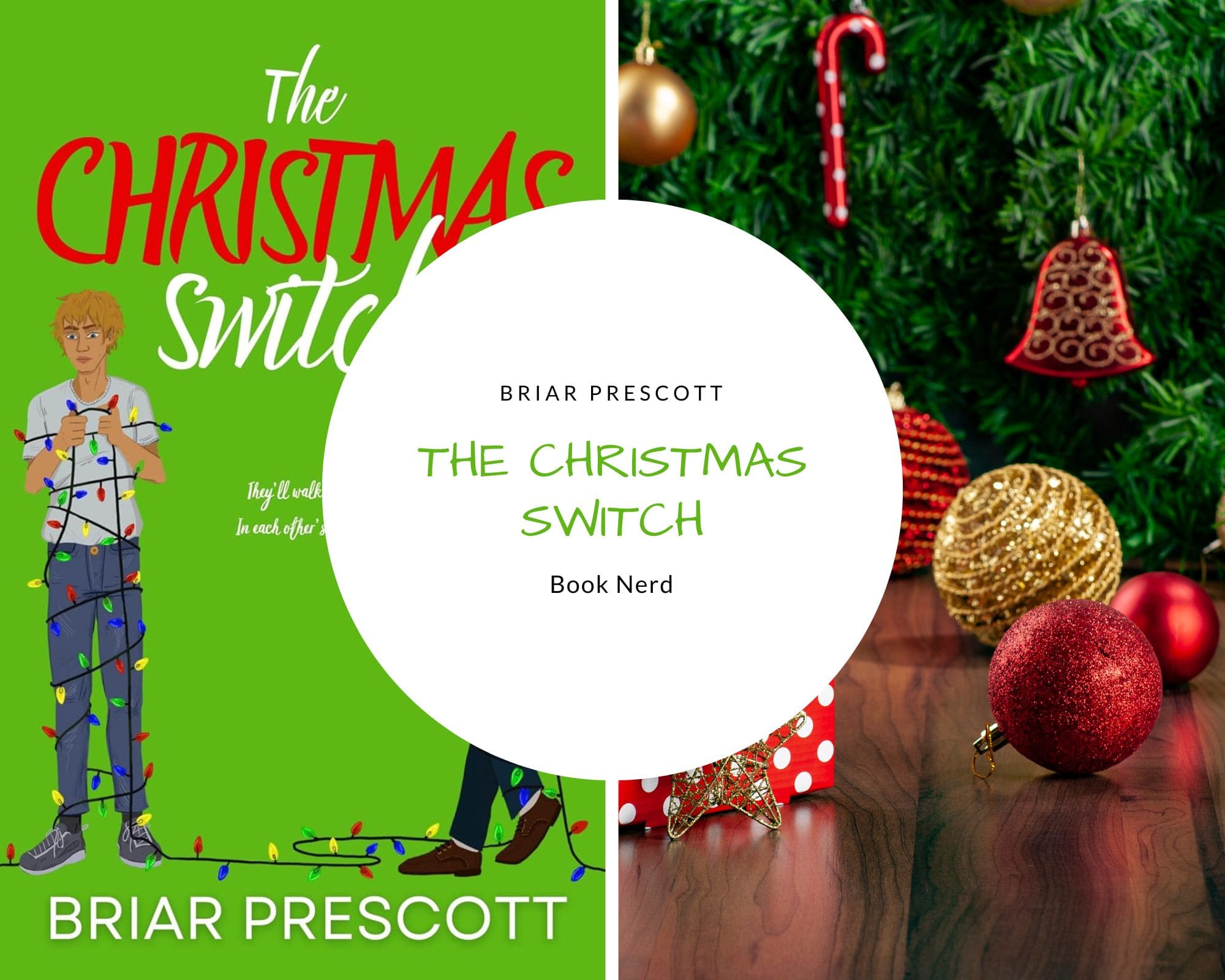 The Christmas Switch - Briar Prescott - Book Nerd
