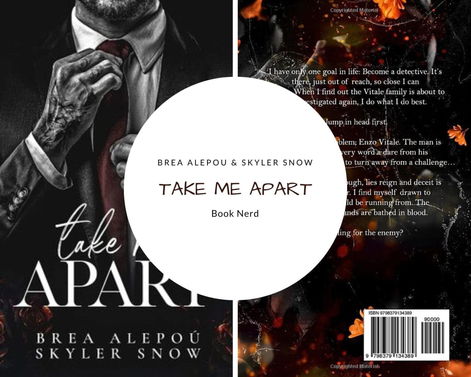 Blog Lecture - M/M Romance, Romance, Romantasy - Book Nerd